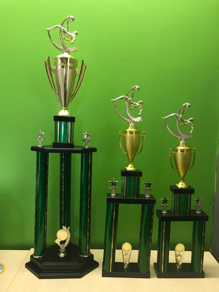 Modern Trophies 3 | House of Champions